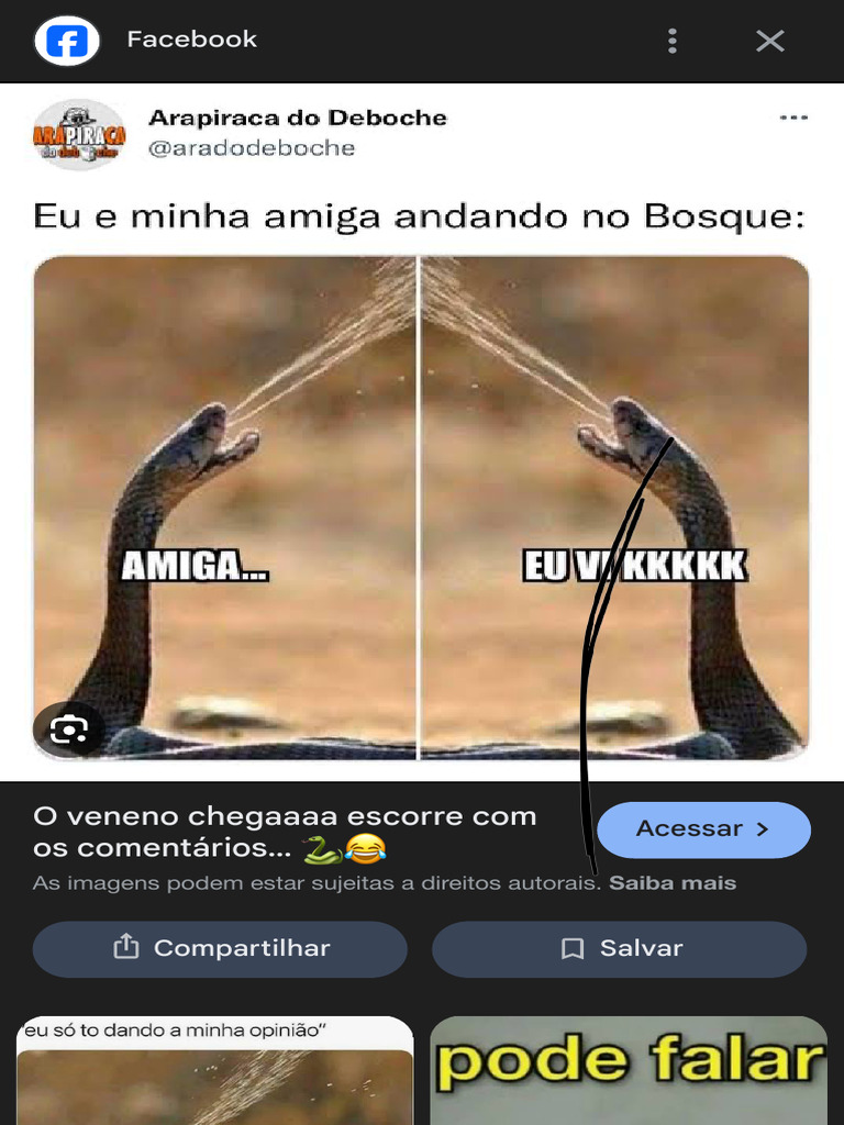 Naja Jogando Veneno Meme - Pesquisa Google | PDF