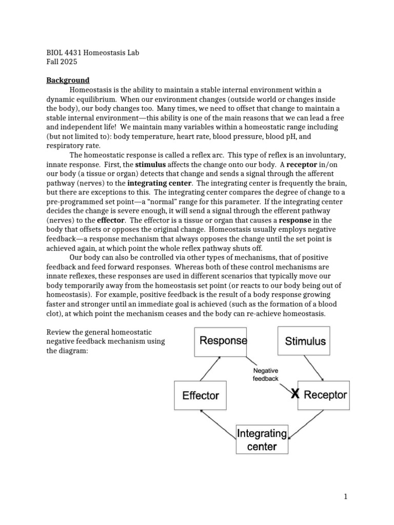 Homeostasis Lab: Thermoregulation Study | PDF | Homeostasis ...
