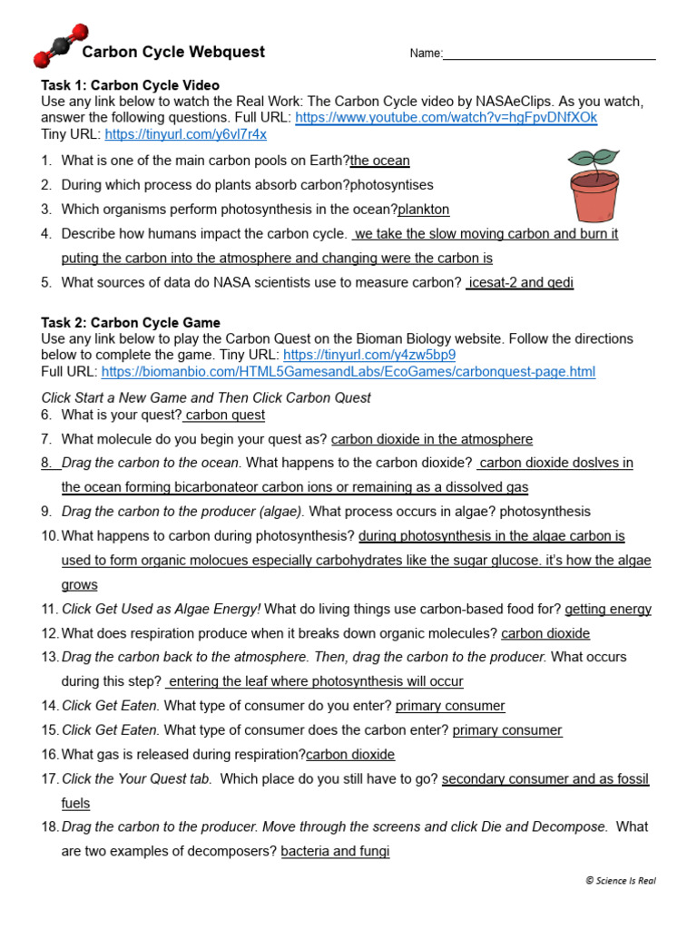 Jonathon Finizia - Handout - Carbon Cycle Webquest | PDF | Chemistry ...