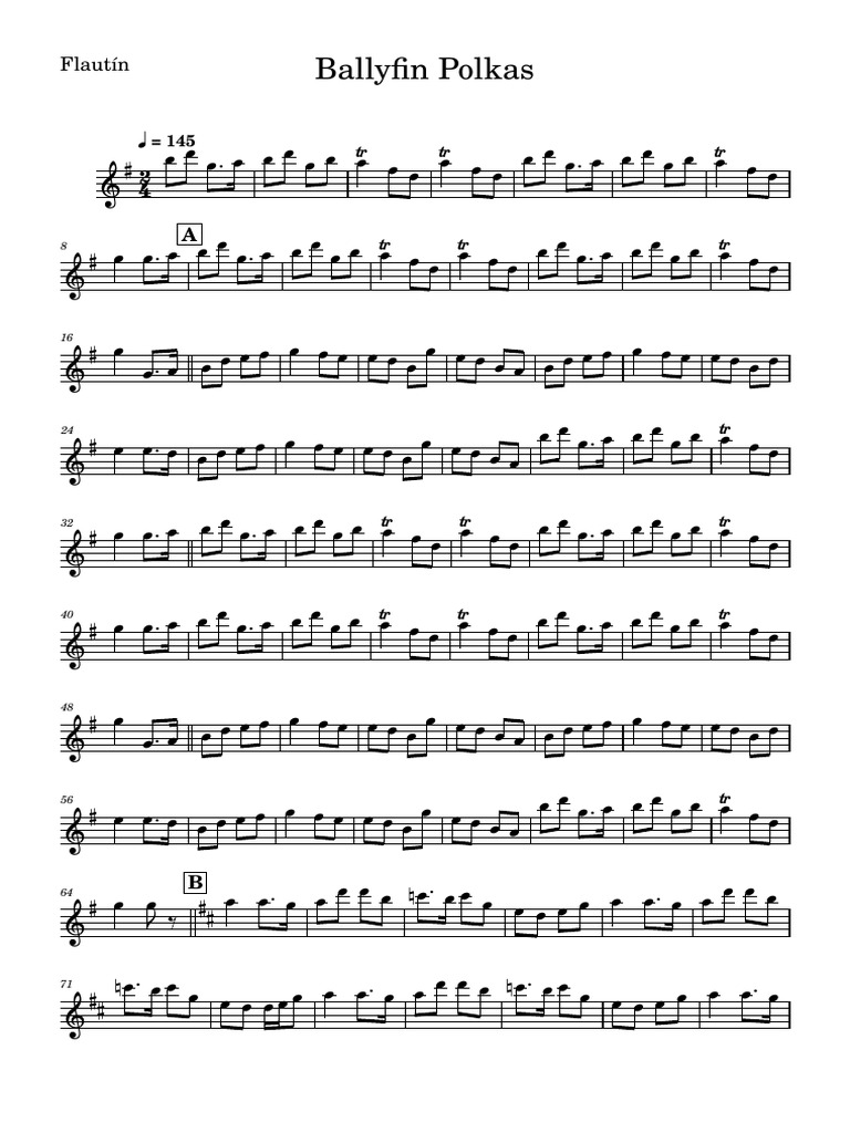Ballyfin Polkas Sheet Music | PDF
