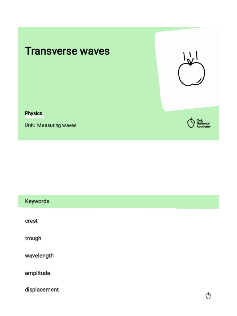 Understanding Transverse Waves in Physics | PDF | Waves | Amplitude