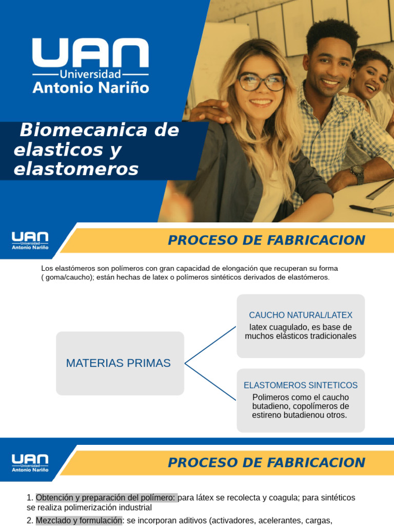 Biomecanica de Elasticos | PDF | Caucho natural | Polímeros