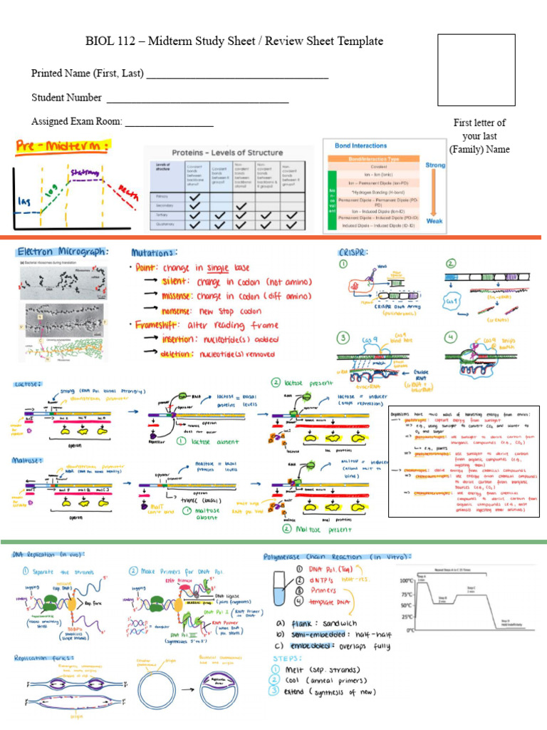 BIOL 112 Final Cheat Sheet | PDF