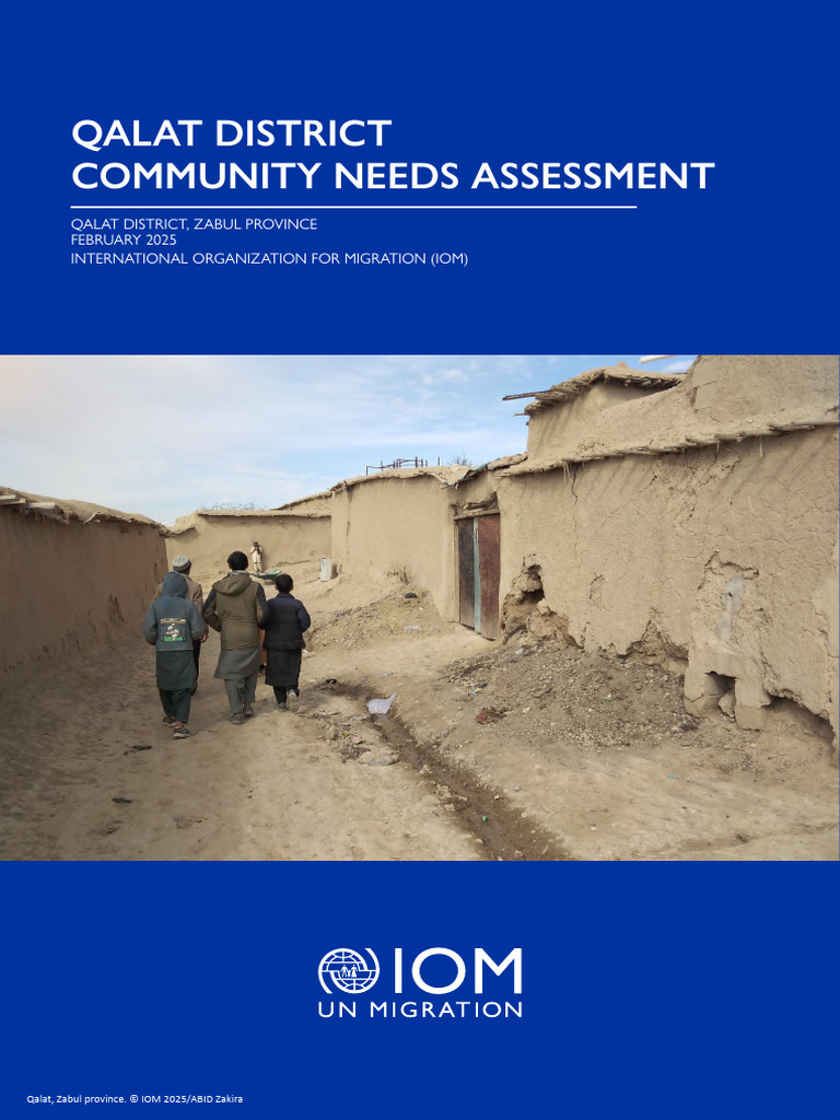 Iom Qalat Community Needs Assessment 20250408 | PDF | Human Migration ...