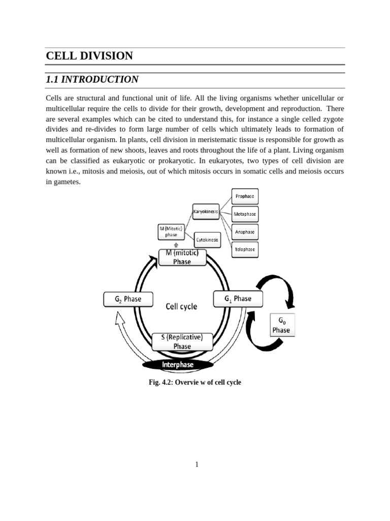 CELL DIVISION | PDF | Meiosis | Mitosis
