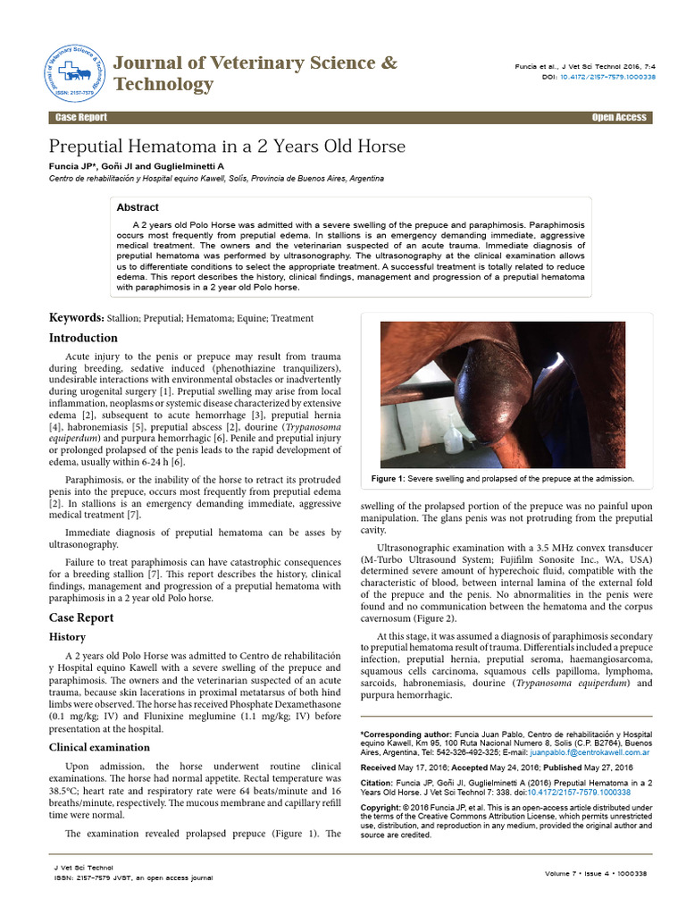 Preputial Hematoma in a Young Horse | PDF | Edema | Medical Ultrasound