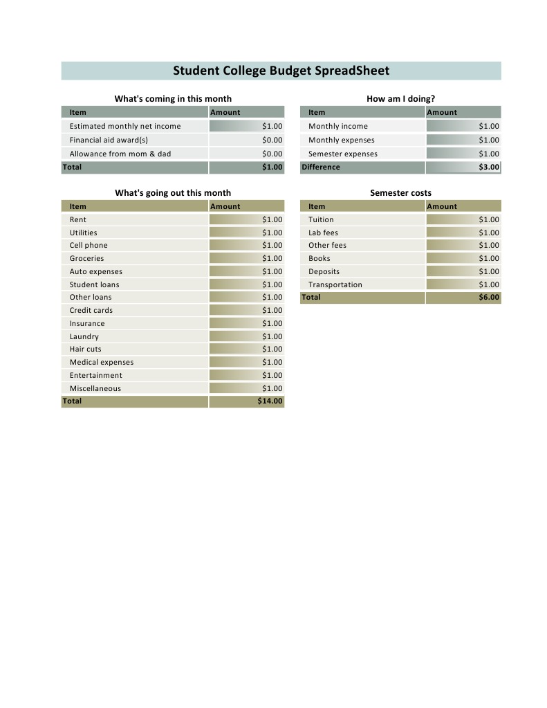 Student College Budget Overview | PDF