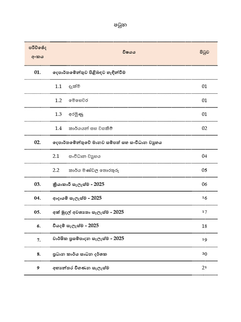 Action Plan 2025 (S) | PDF