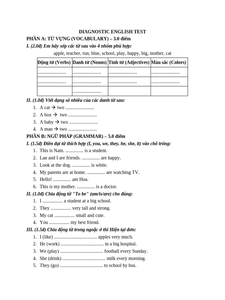 Diagnostic English Test | PDF