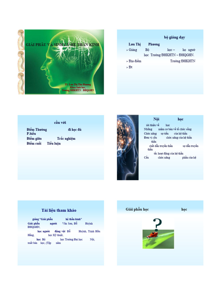 Giai Phau Sinh Ly He Than Kinh - T1 - SV | PDF