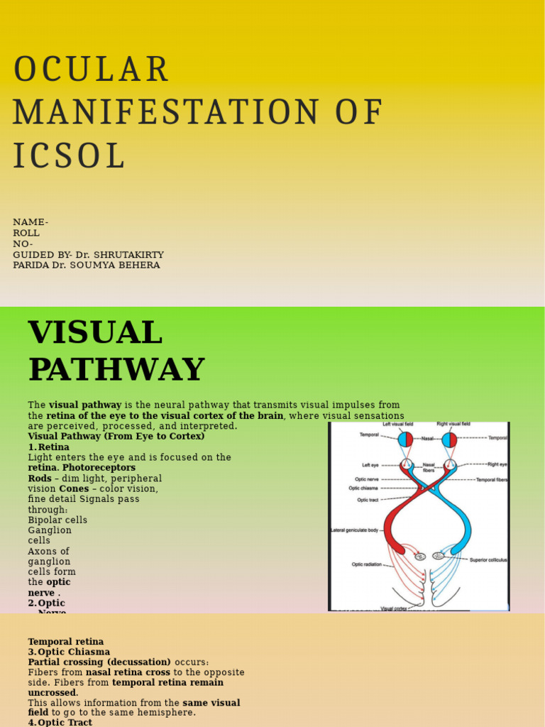 suvendu 4 | PDF | Visual System | Retina