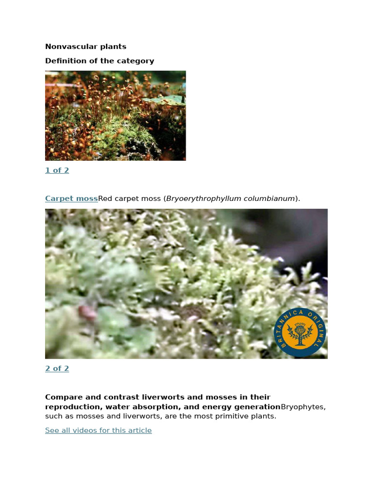 Nonvascular Plants | PDF | Moss | Plants