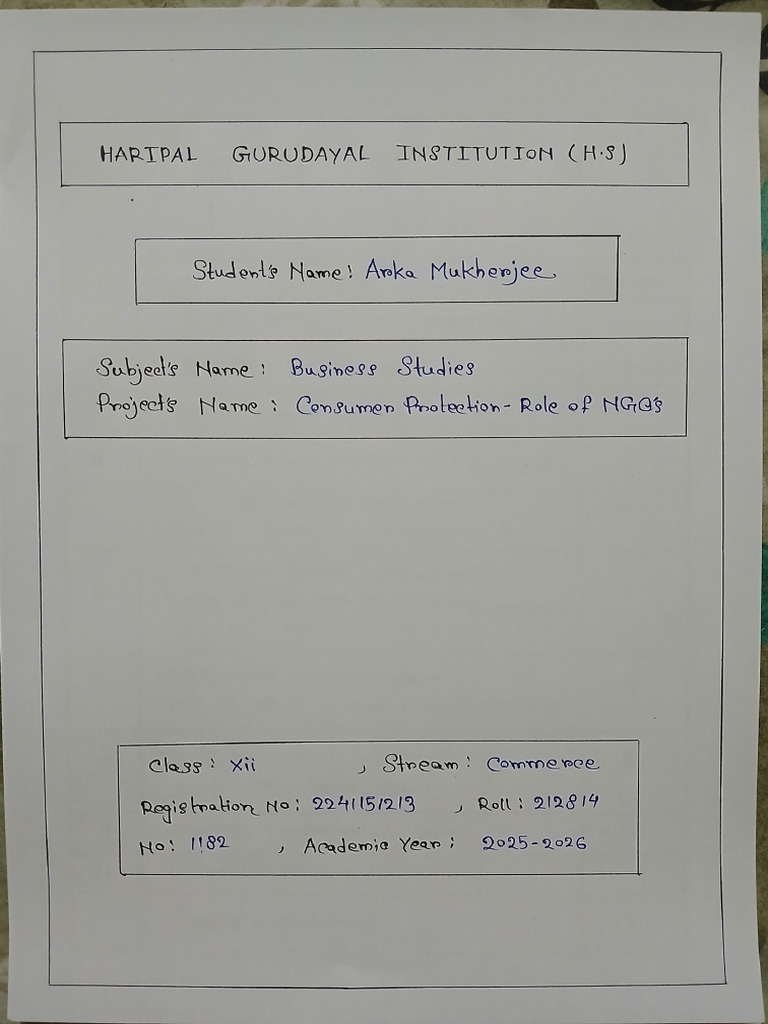 Business Std Project.class12 | PDF