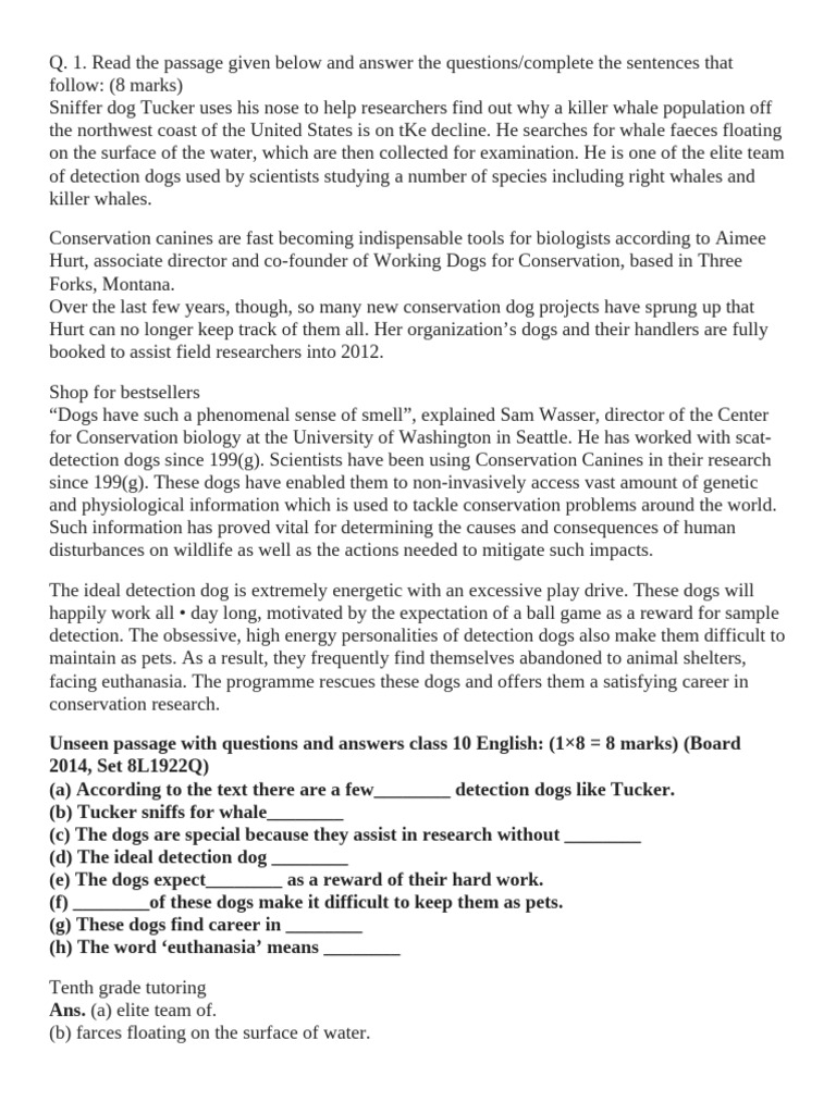 Unseen Passages | PDF | Chimpanzee | Foods