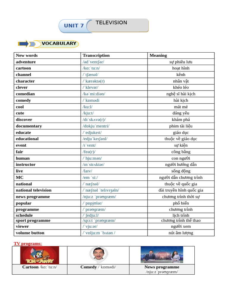 TV Vocabulary and Quiz Program Guide | PDF