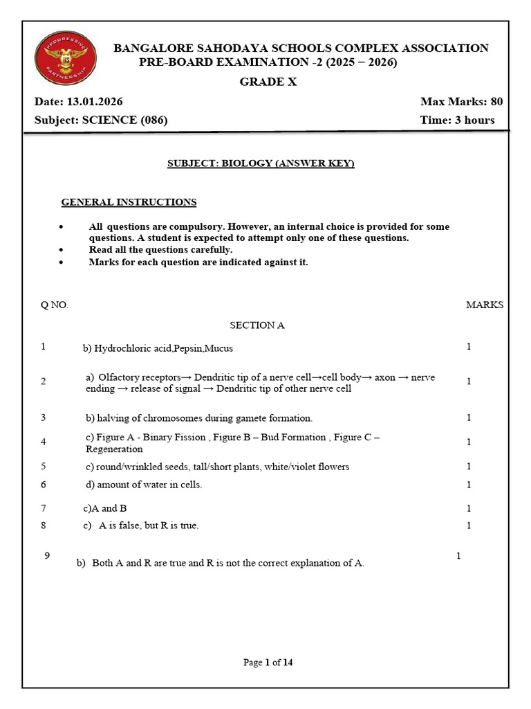G10_SCIENCE_086_SAK_00695c4f2363418cb2c15af9827cb5dc_52075 (1) | PDF ...