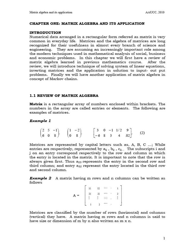 Matrix Algebra Applications Overview | PDF | Matrix (Mathematics ...