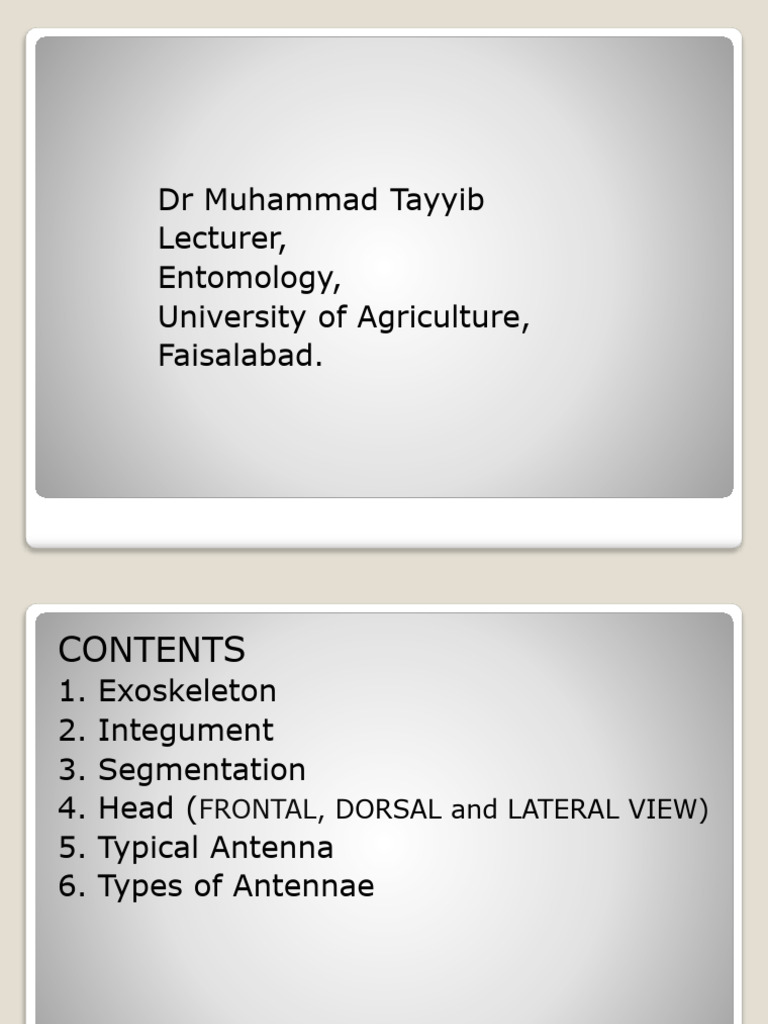 320f187c-6476-40f3-bd6b-b6cb9f322eb6 | PDF | Insects | Arthropods