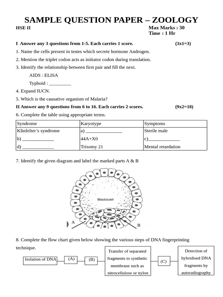 Kerala Plus Two Zoology Model Question Paper 2 | PDF