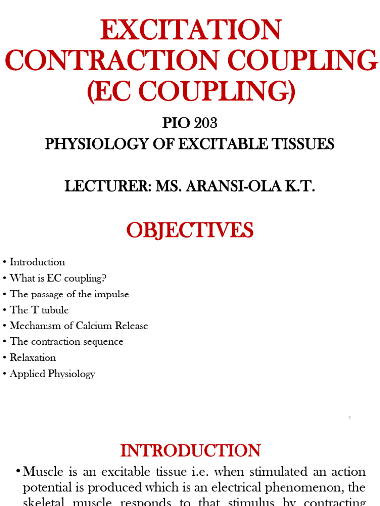 Understanding Excitation-Contraction Coupling | PDF | Muscle ...