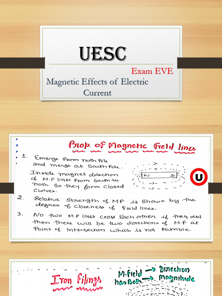 Magnetic field class 10 full detailed notes | PDF