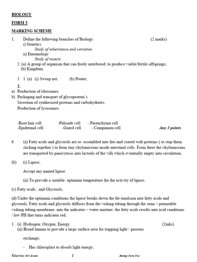 Biology f3 Ms | PDF | Glucose | Cellular Respiration