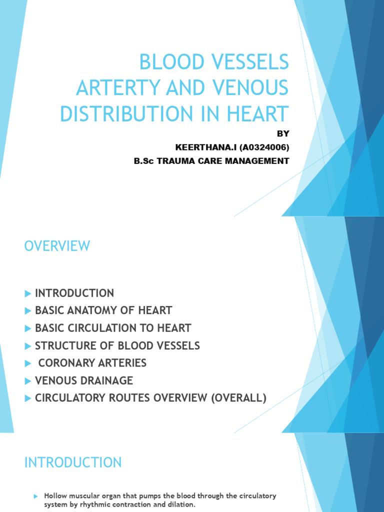 Blood Vessels Arterty and Venous Distribution in Heart | PDF