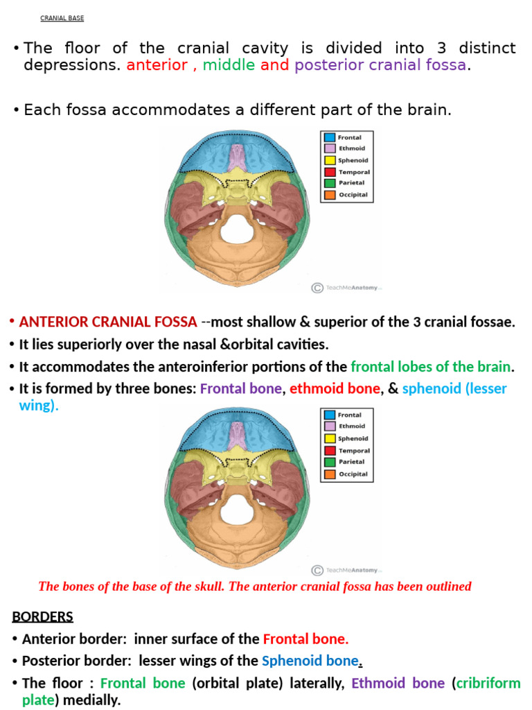 CRANIAL BASE POWER POINT PRESENTATION..DR.BIEN | PDF | Skull ...