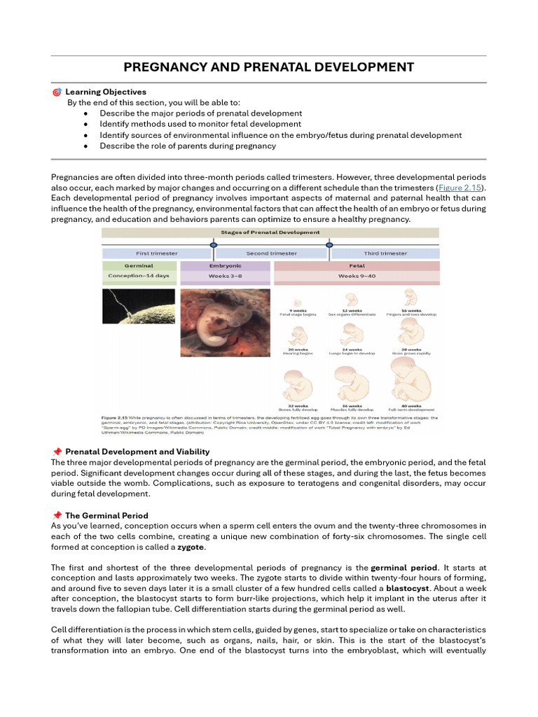 Lesson 3_Pregnancy and Prenatal Development | PDF | Prenatal ...