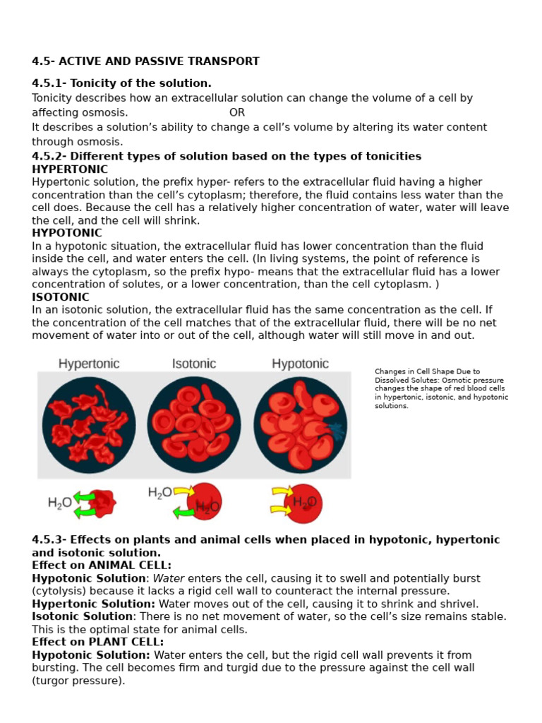 Understanding Tonicity and Transport Mechanisms | PDF | Osmosis | Cell ...