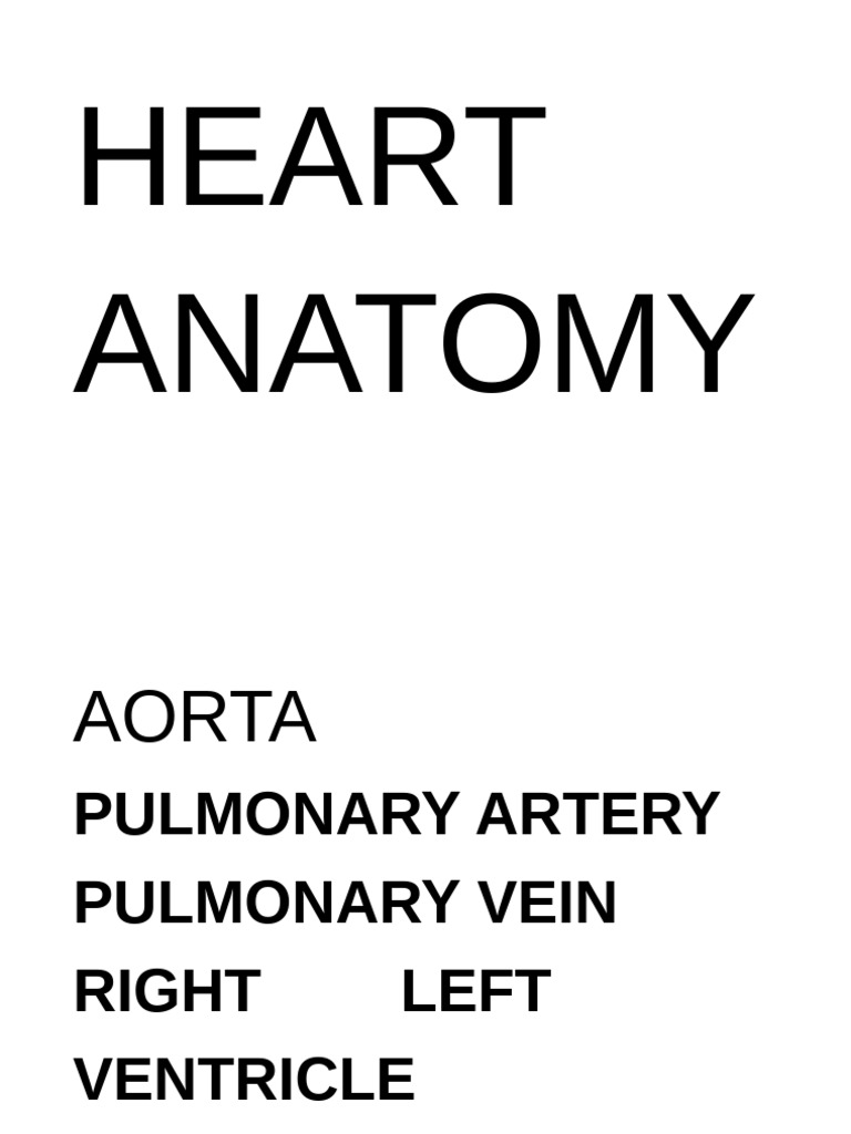 Heart Anatomy | PDF
