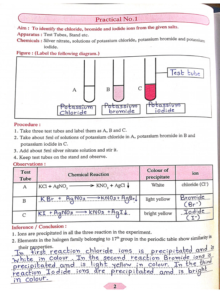 Science Practical.pdf | PDF