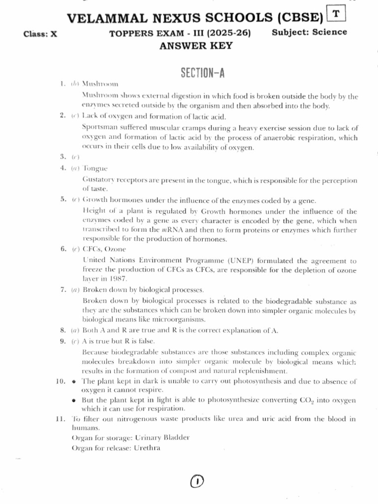 Class 10 Science Topper 3 Ak | PDF