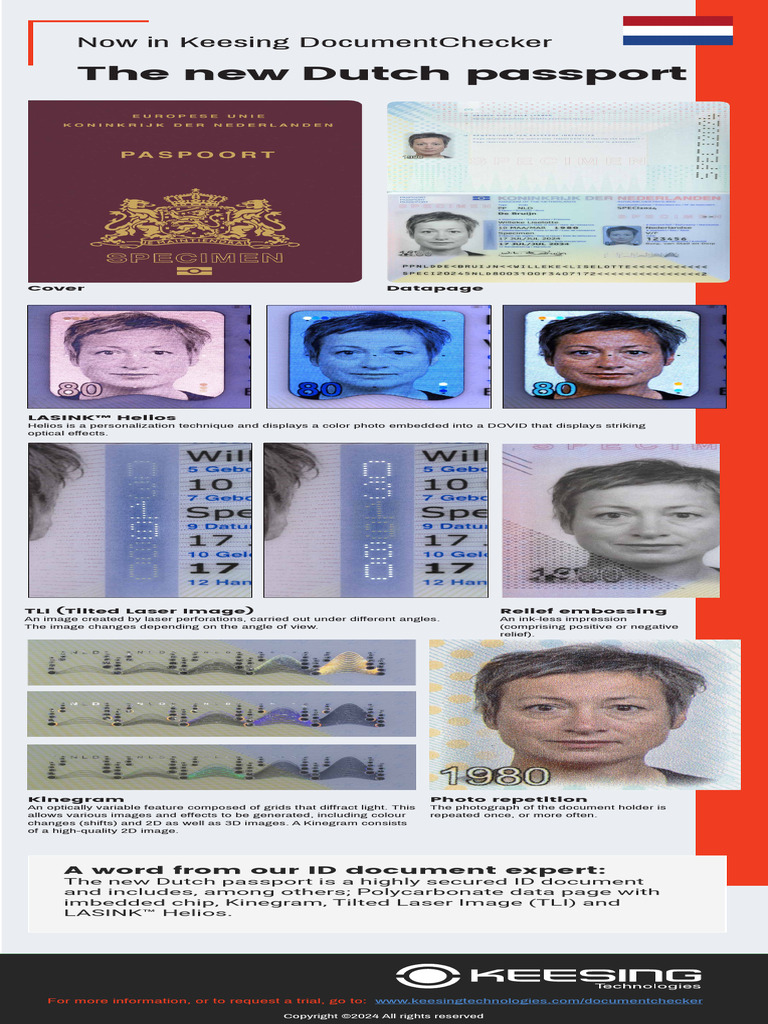 Dutch Passport Infographic | PDF