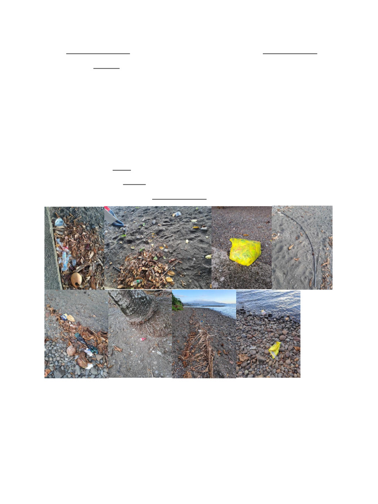 Suarez Lab 1 | PDF | Pollution | Beach
