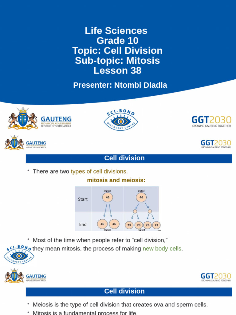 Life Sciences Gr.10 Lesson 38 Cell division (Mitosis) | PDF | Meiosis ...