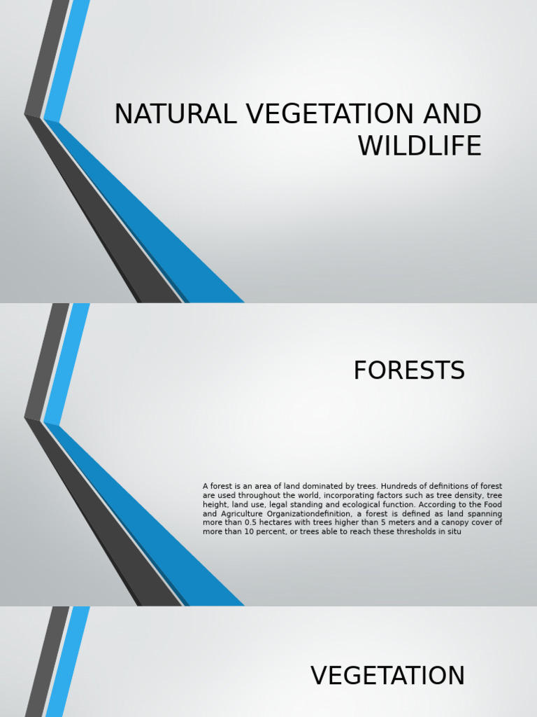 Natural Vegetation and Wildlife | PDF | Forests | Vegetation