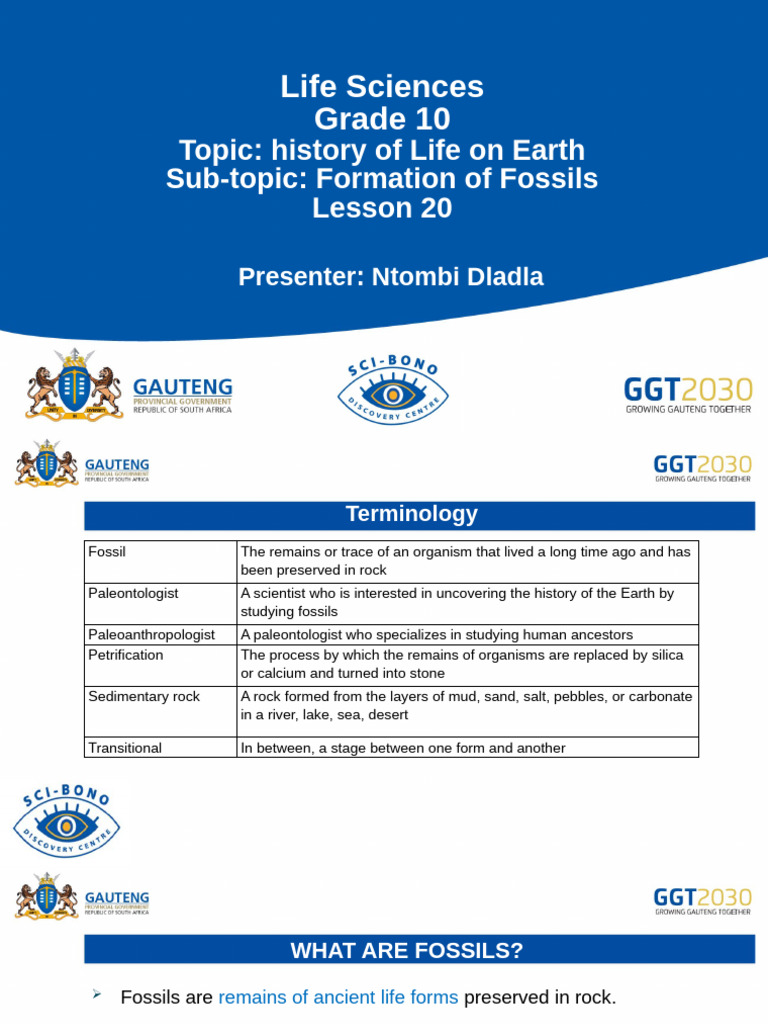 Life Sciences Gr.10 Lesson 20 Fossil Formation (1) | PDF | Fossil ...