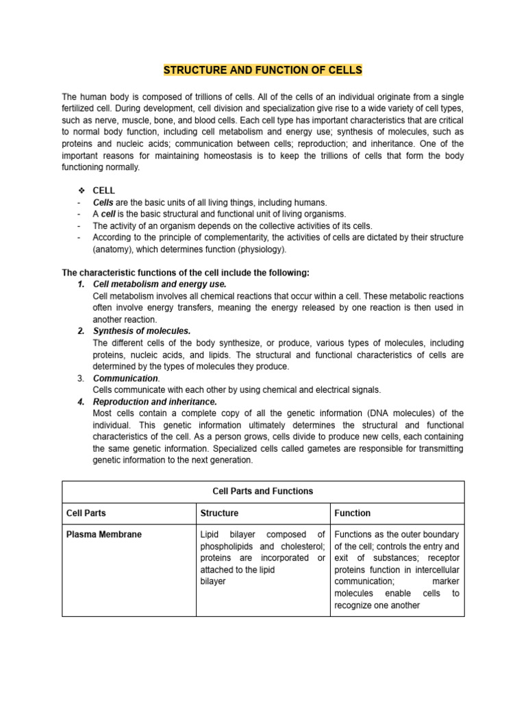 Cell-and-Tissue-1 final | PDF | Cell Membrane | Epithelium