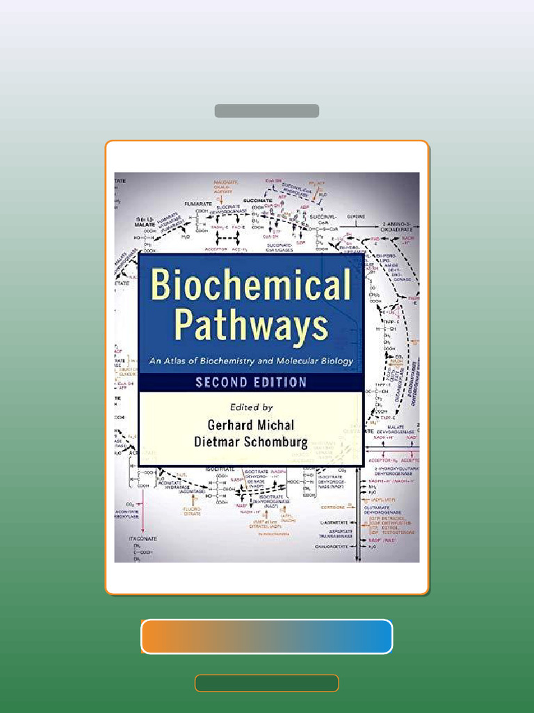 Biochemical Pathways an Atlas of Biochemistry and Molecular Biology 2nd ...