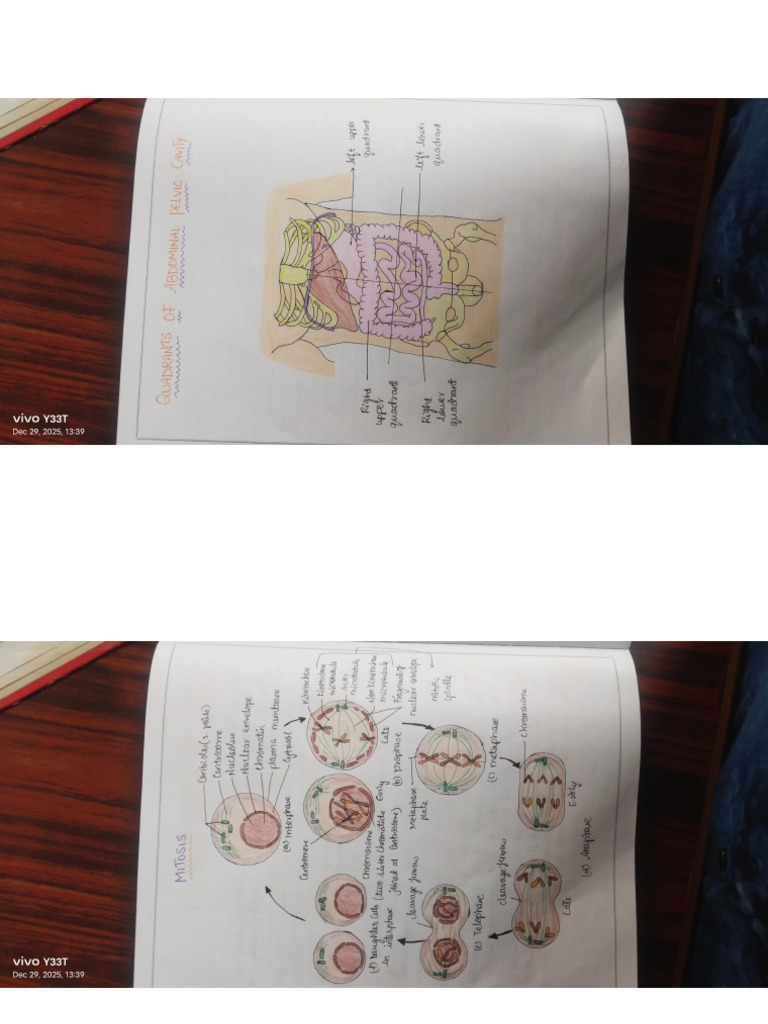 Anatomy Biology Records | PDF
