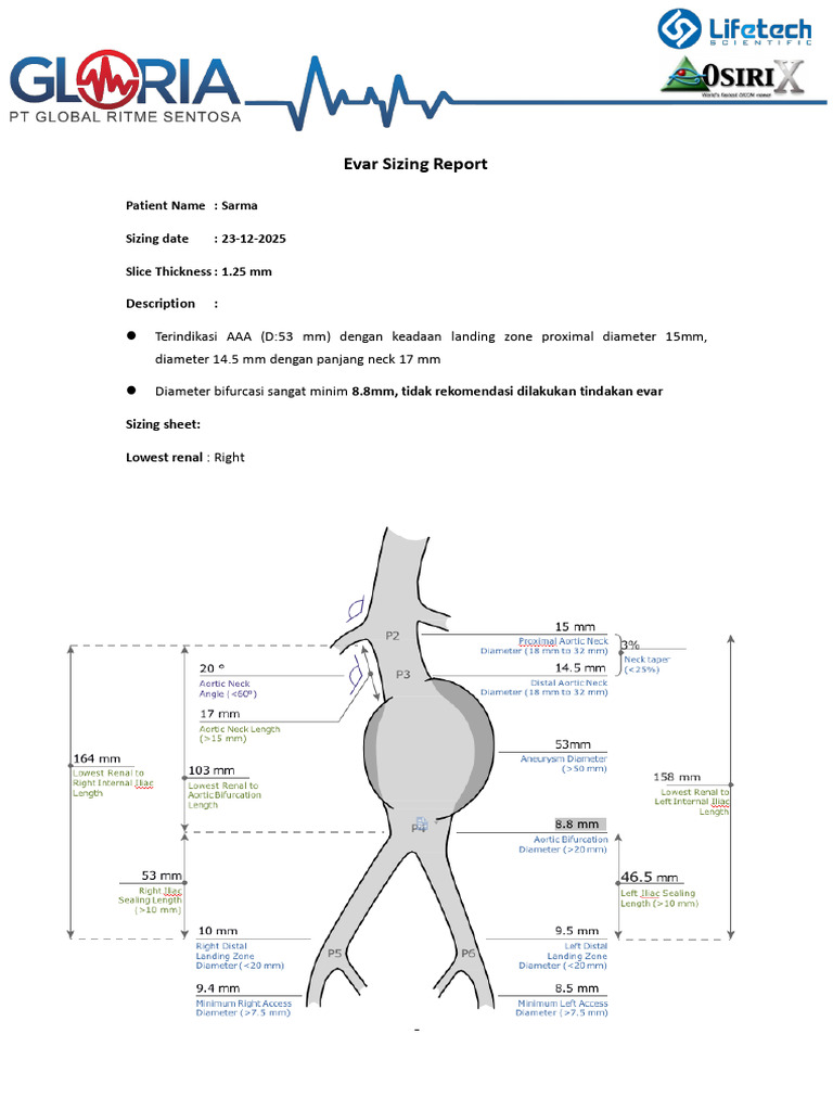 EVAR - Sarma - Sizing Report | PDF