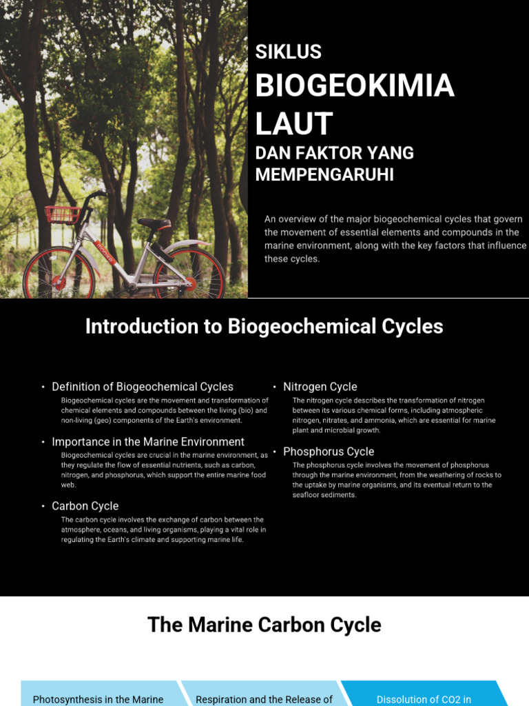 Marine Biogeochemical Cycles Overview | PDF | Oceans | Nature
