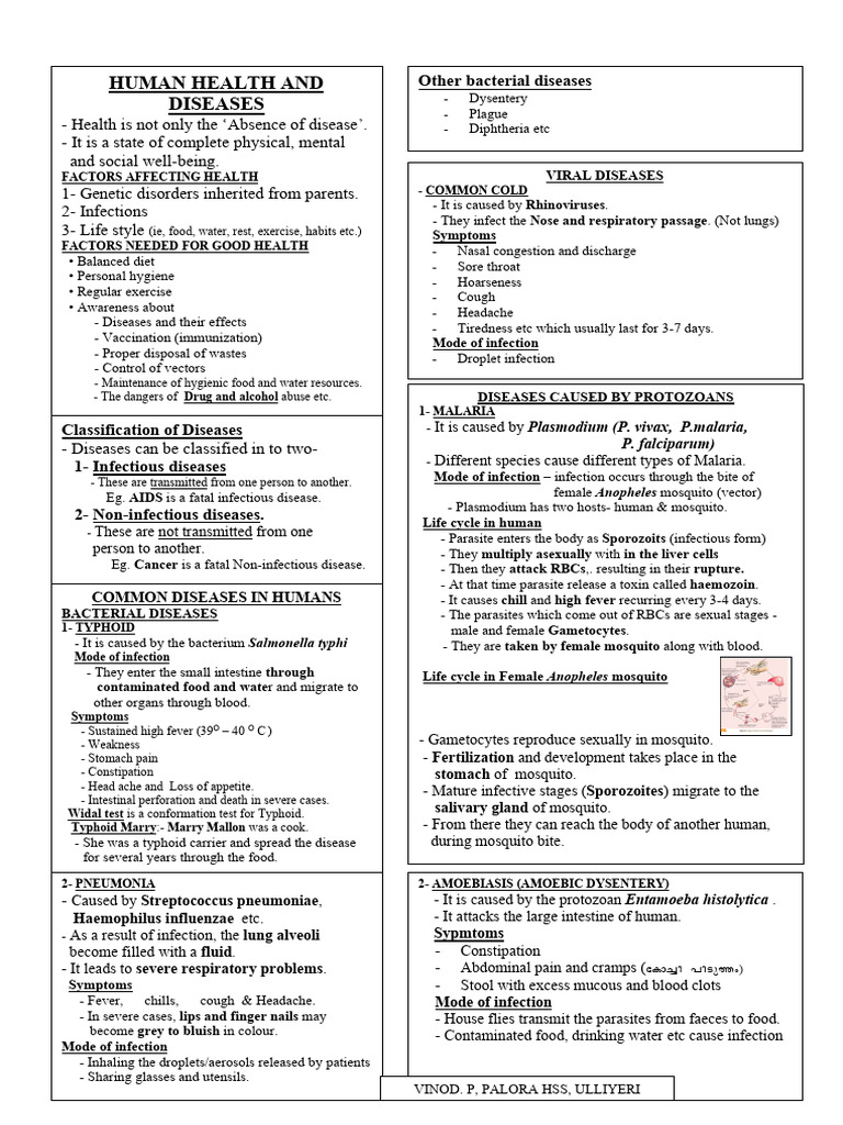 Human Health: Diseases and Prevention | PDF | Immune System | Antibody