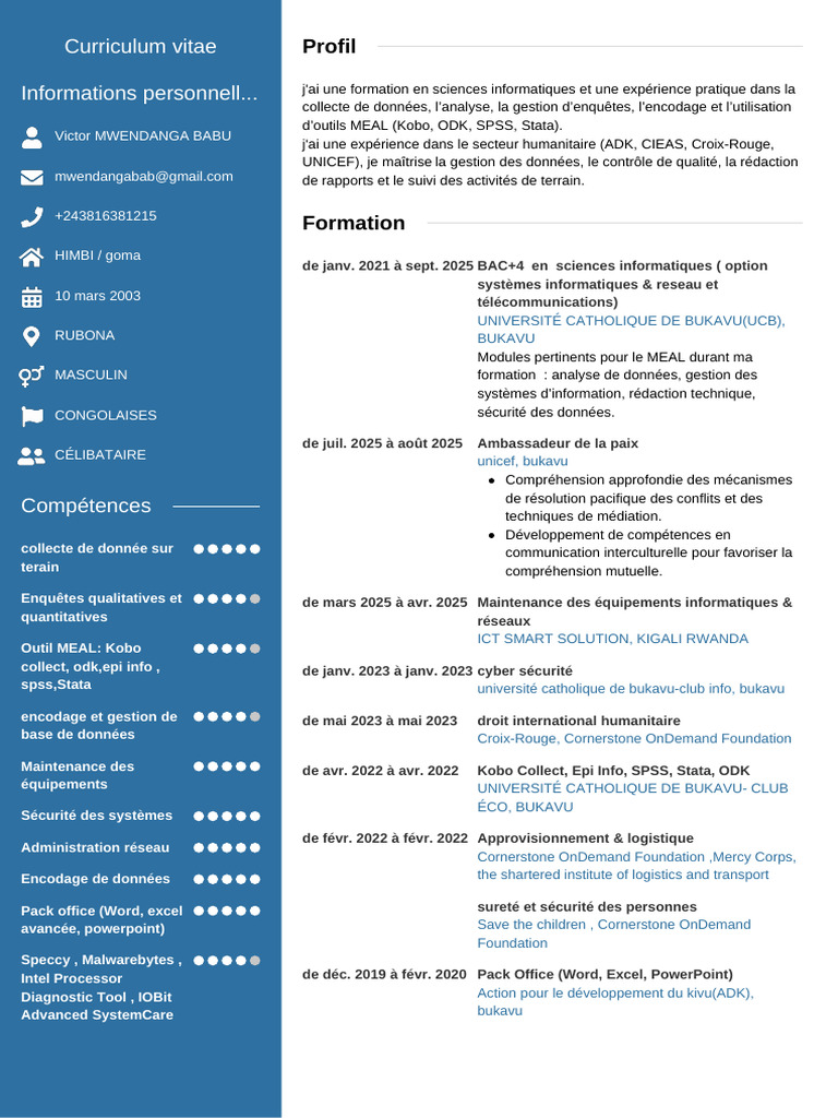 CV de Victor Mwendanga Babu - Expert MEAL | PDF | Informatique ...