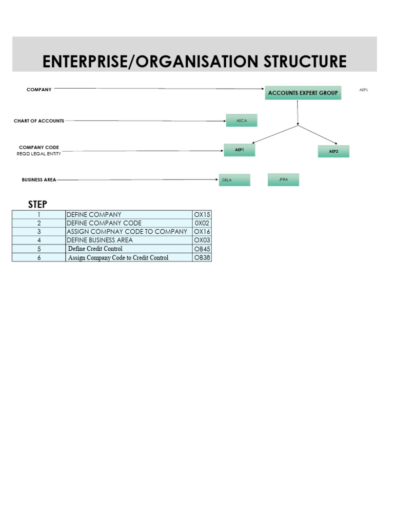 Company Code and Accounts Structure Guide | PDF