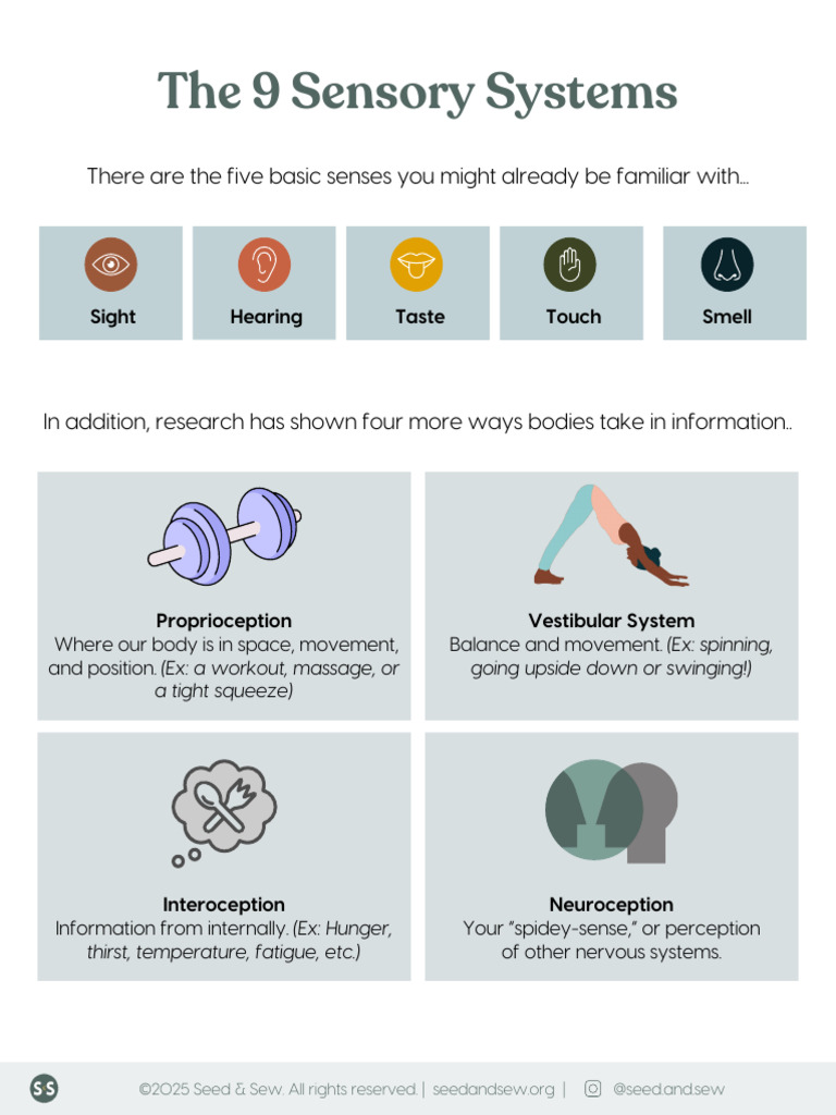 Regulation Questionnaire Resources - The 9 Sensory Systems | PDF