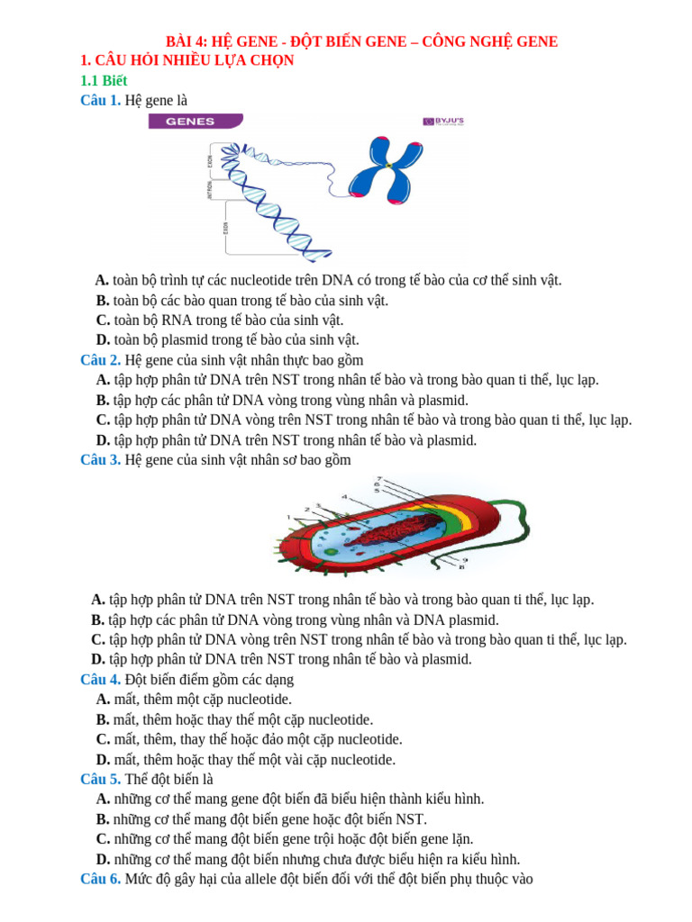 NHCH-SGK-bài-4.HS | PDF