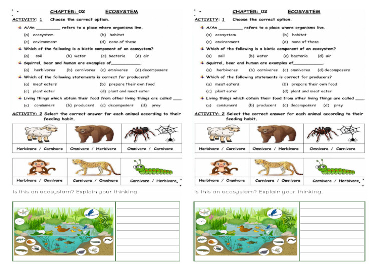 Unit 2 Worksheet | PDF