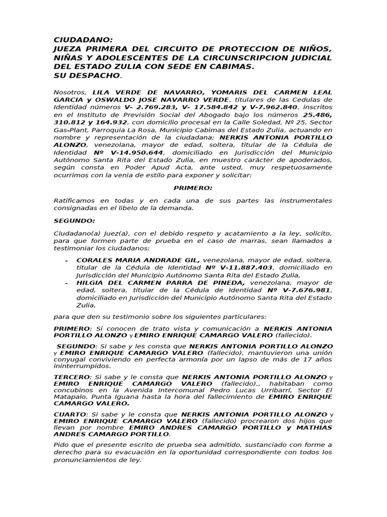 Escrito de Pruebas de Nerkis Antonia Portillo Alonzo | PDF | Gobierno ...